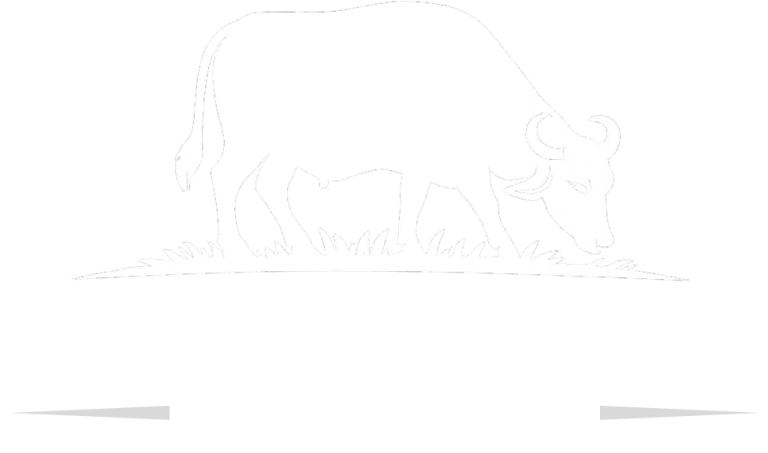 Free-Range Desi Eggs | Organic Golden Hen Eggs – Nationwide | Saab ...